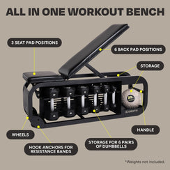 Fusion Bench – Incline/Storage Bench with Dumbbell Rack | Centr